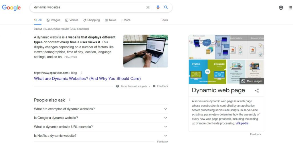 All You Need to Know about Dynamic Websites | Truelogic